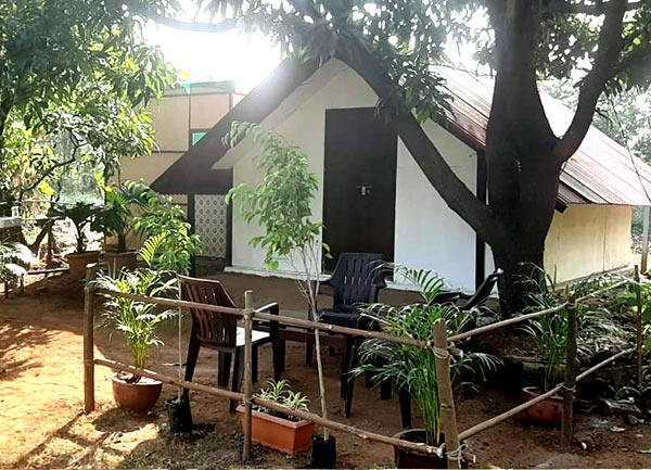 Gallery - Nature Stay Saphale